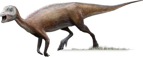 Atlascopcosaurus - Alchetron, The Free Social Encyclopedia
