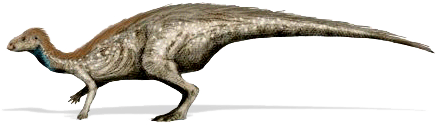 Valdosaurus Canaliculatus Skeletal Reconstruction Paleoexhibit: July